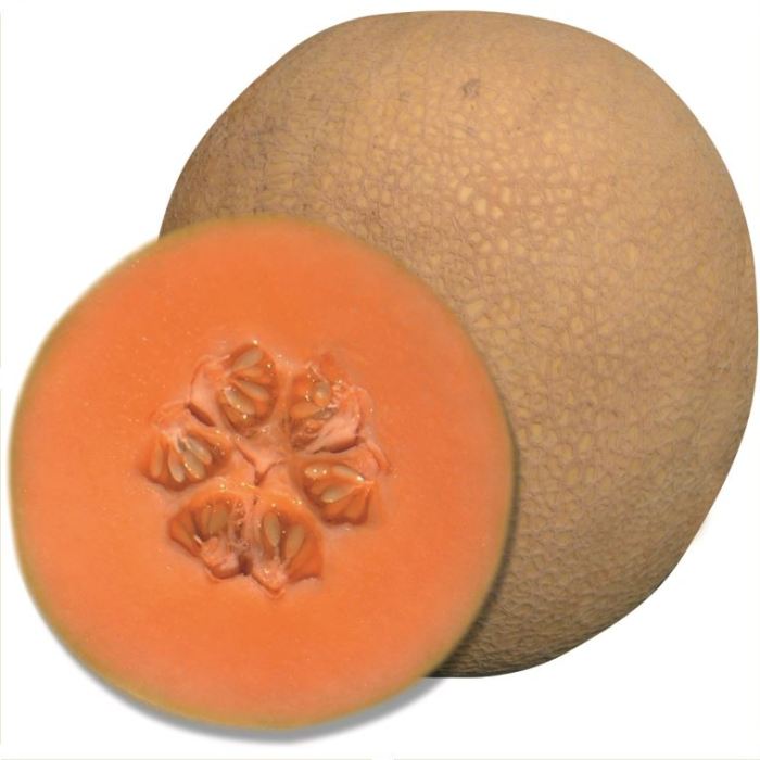 Lucky Gold – Lucky Seeds Private Limited